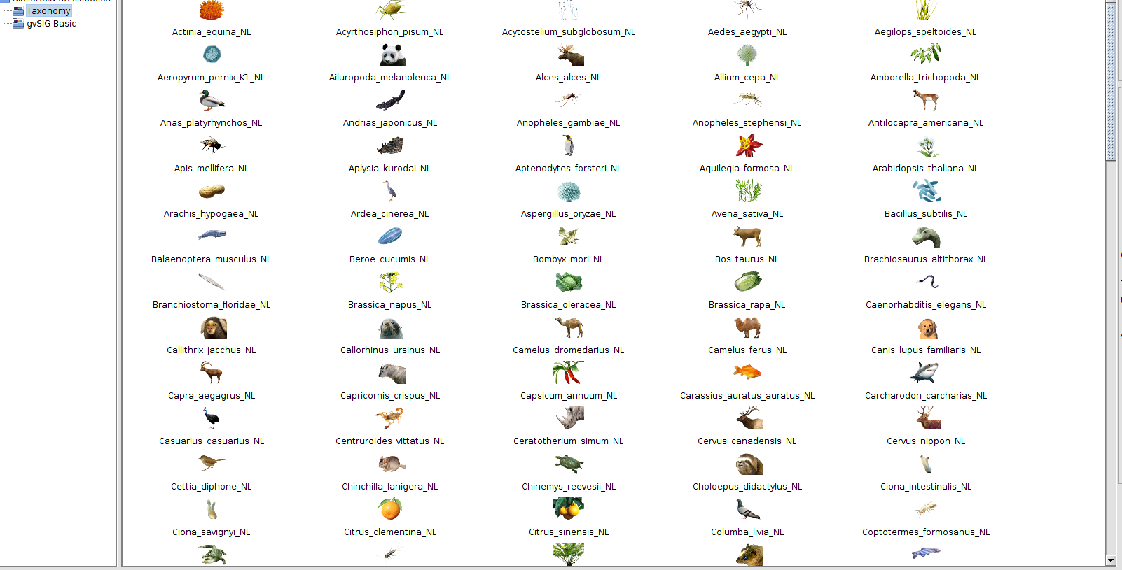 Camino a gvSIG 2.5: Biblioteca de símbolos de Taxonomía | gvSIG blog